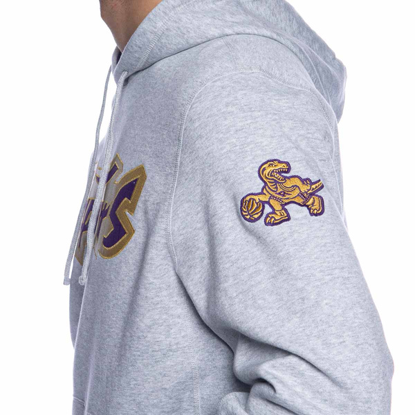 Mitchell & Ness sweatshirt Toronto Raptors grey/purple CNY Hoodie ...