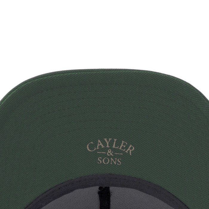 Czapka Cayler & Sons WHITE LABEL Dynasty Cap black / green Bludshop.com ...